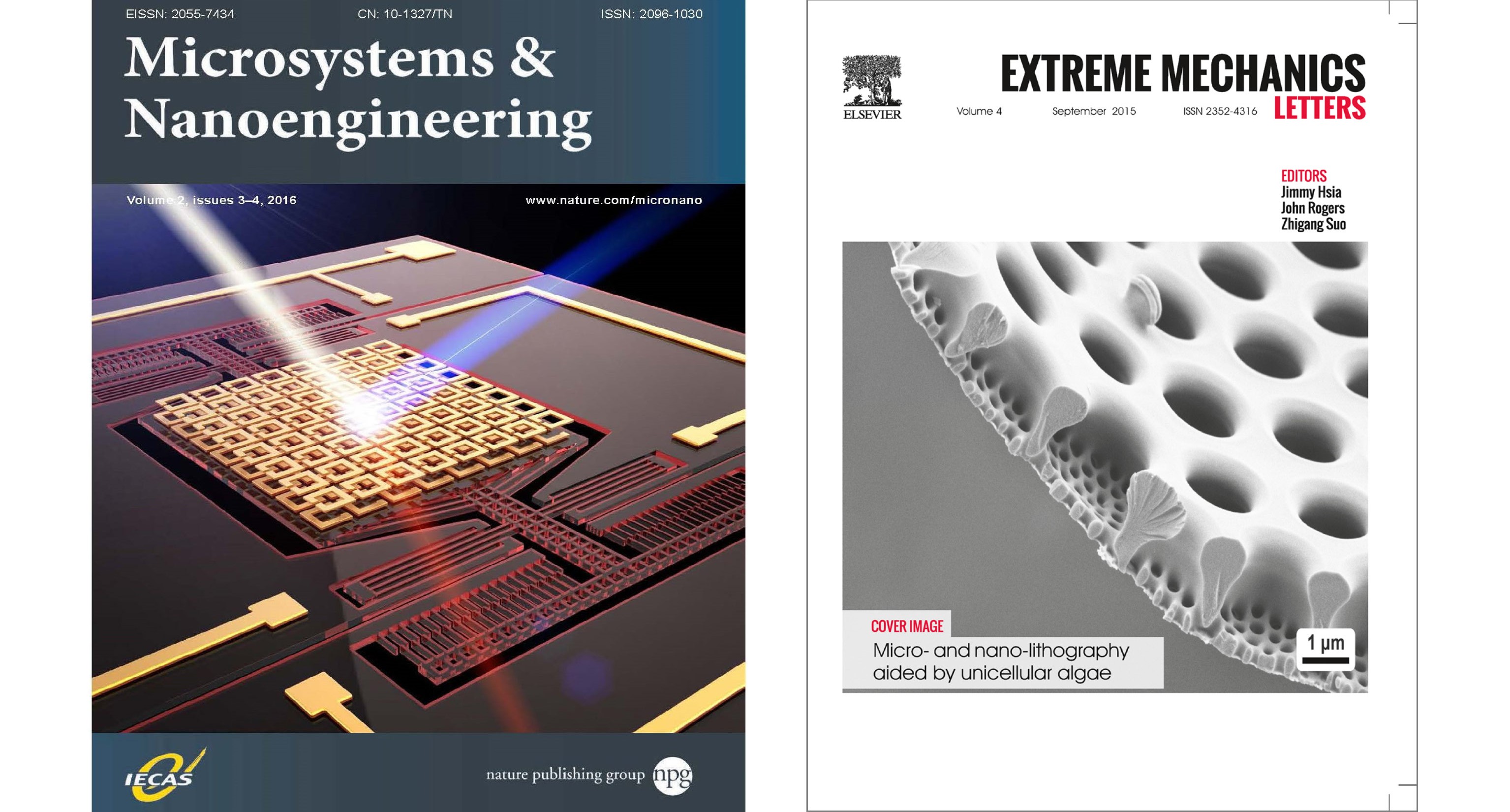 Professor Xin Zhang, Boston University